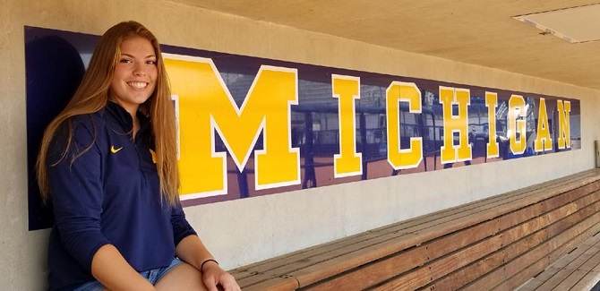 ICE Fastpitch - Home